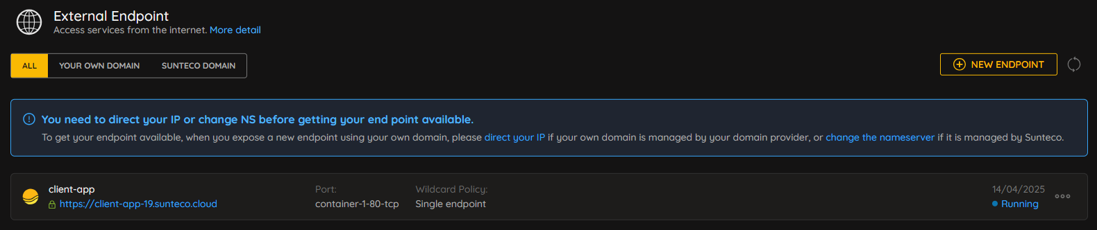 Multiple container services and call internal/external endpoints - Sunteco Cloud documentation